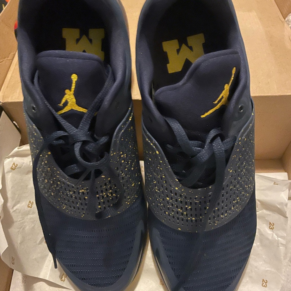 Michael Jordan Grind 2 Michigan Shoes - Gem